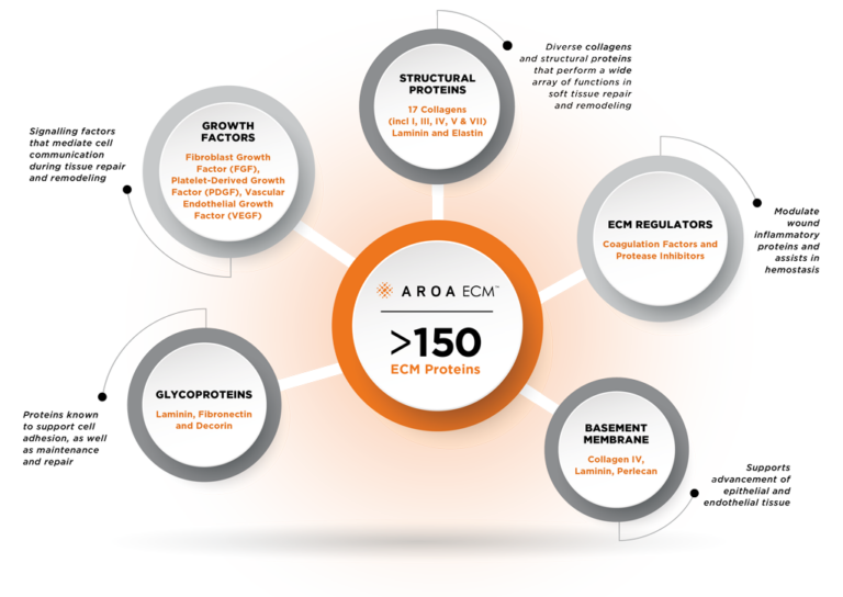 Myriad Morcells™ | AROA